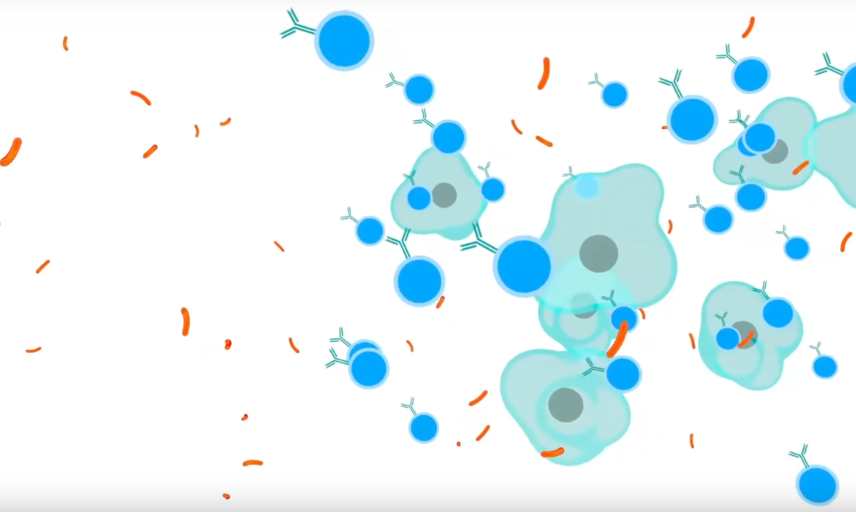 Current Displays and Exhibitions | History of Science Museum